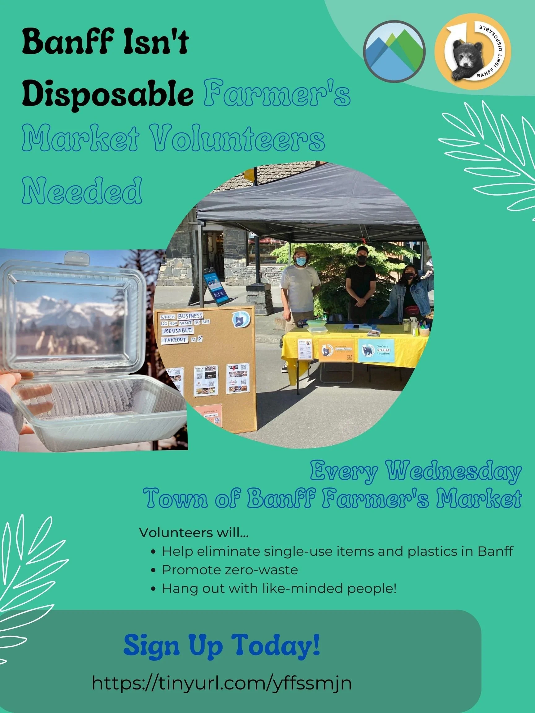 Bear Report — Biosphere Institute of the Bow Valley