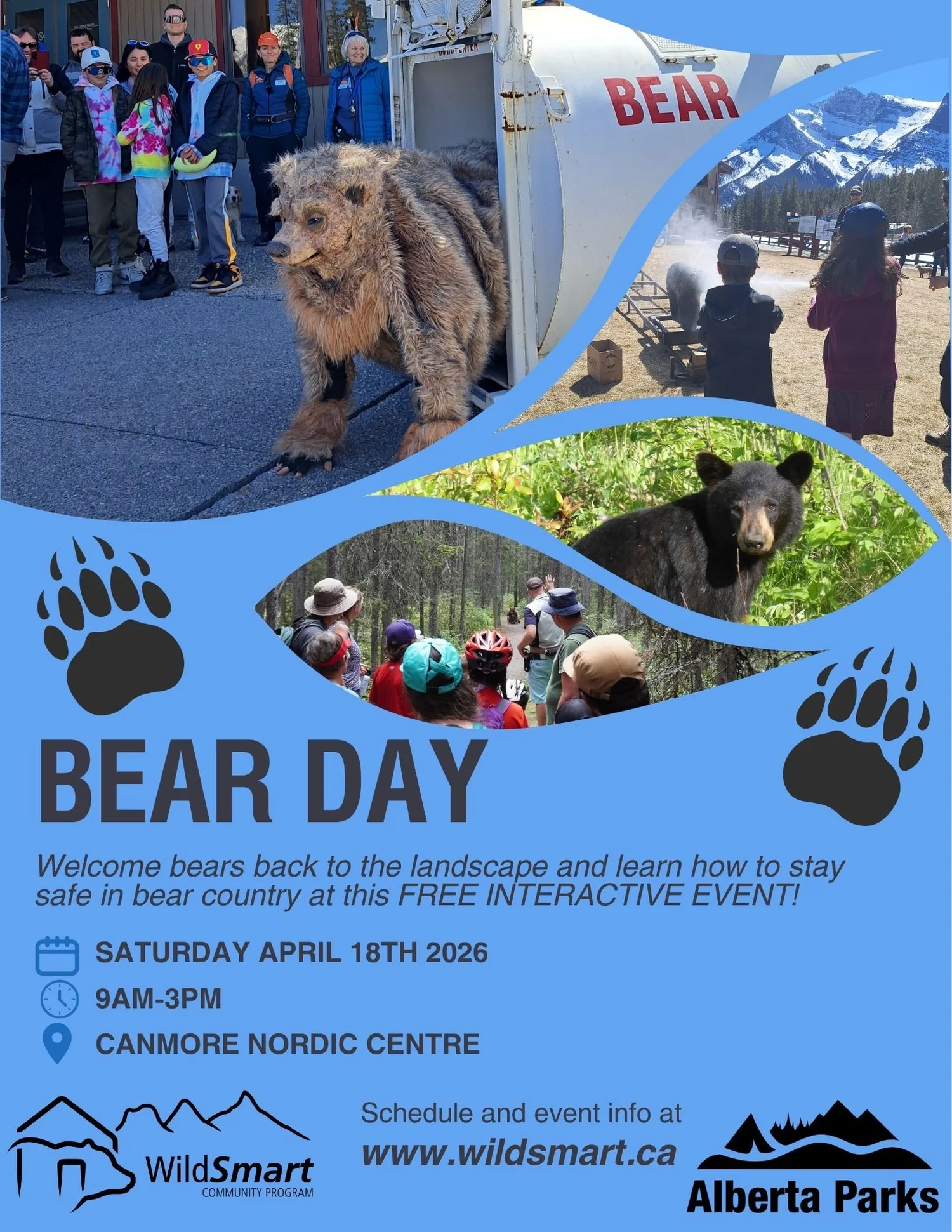 Bear Report — Biosphere Institute of the Bow Valley