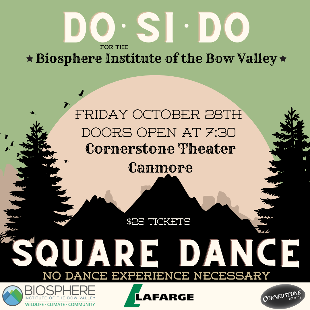 Bear Report — Biosphere Institute of the Bow Valley