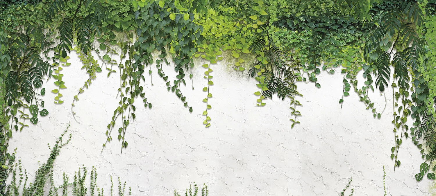 Greenhouse • Stucco — Gravity Digital Walls