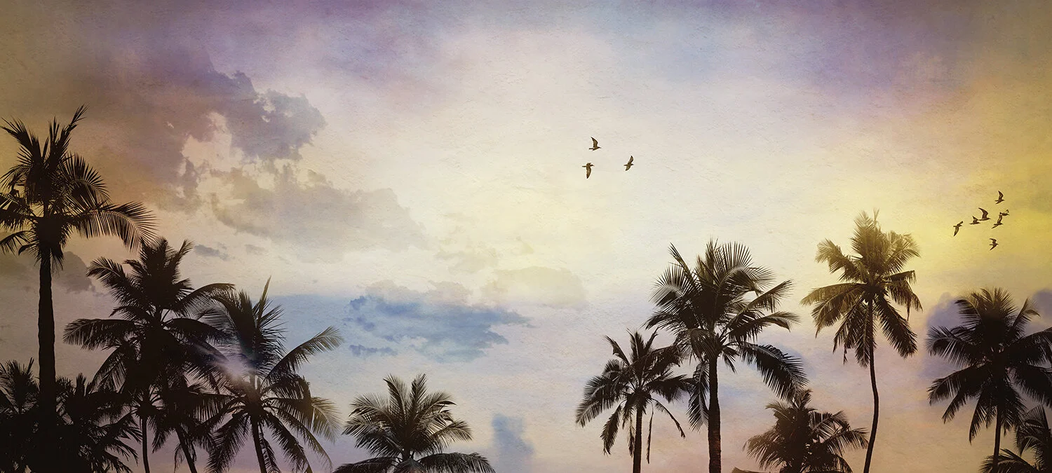 Tree Tops - Palm Trees • Sunset — Gravity Digital Walls