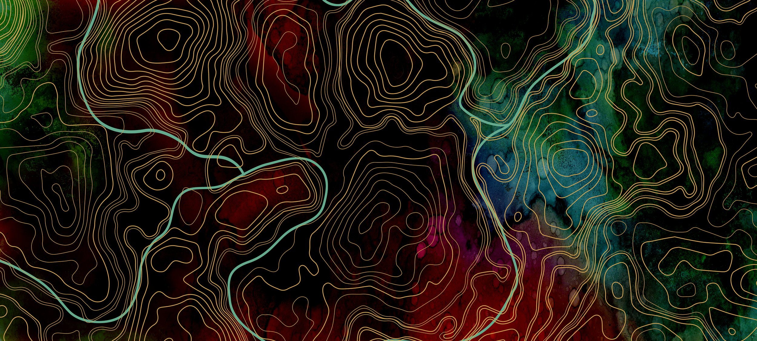 Topography Map • Orbit — Gravity Digital Walls