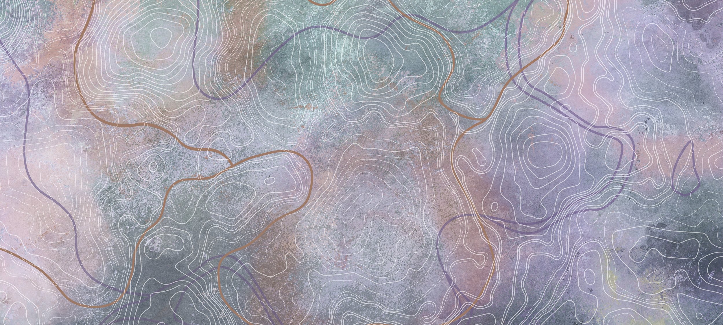 Topography Map • Fog — Gravity Digital Walls