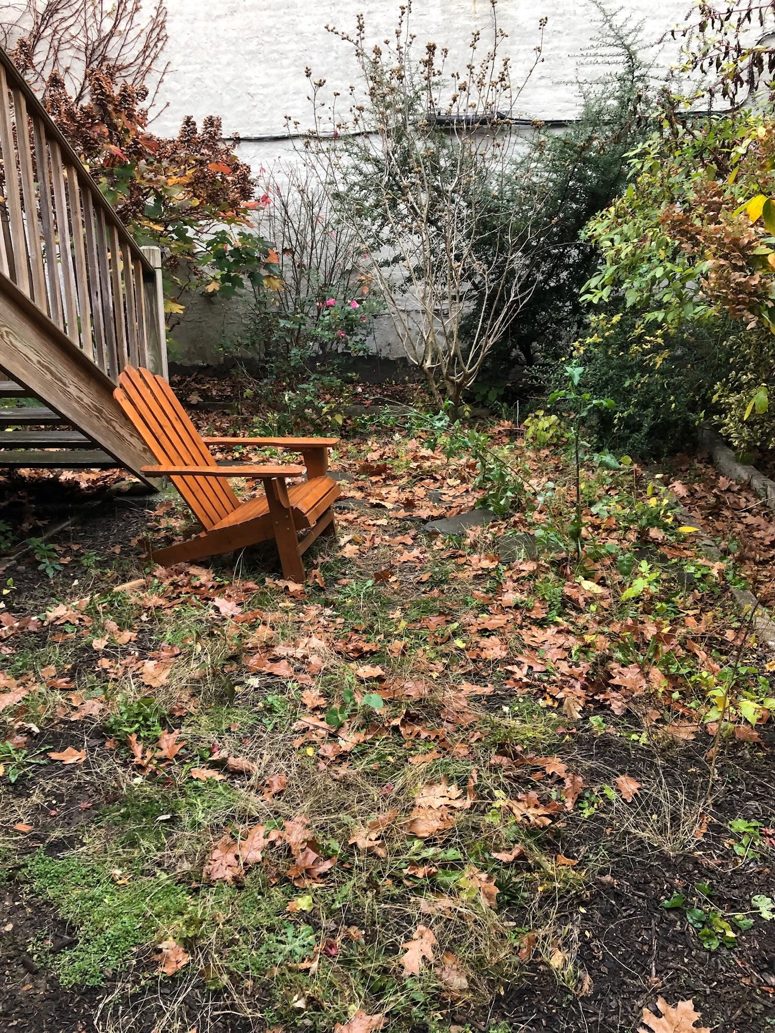 Prospect Heights Backyard — DIRT QUEEN NYC