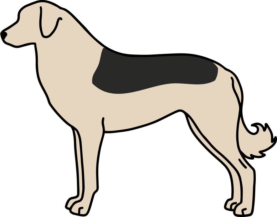 Anatolian Colors — Mythos Anatolian Shepherds