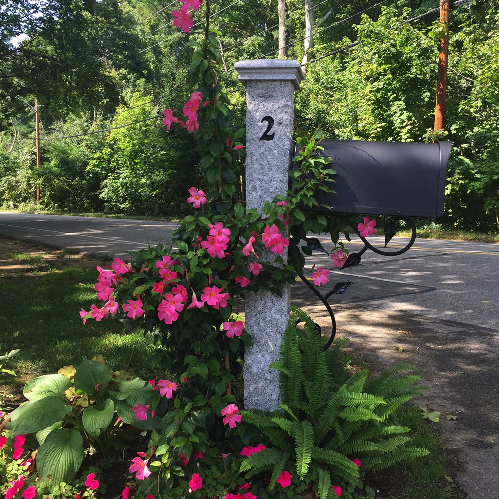 Paragon Landscape Construction