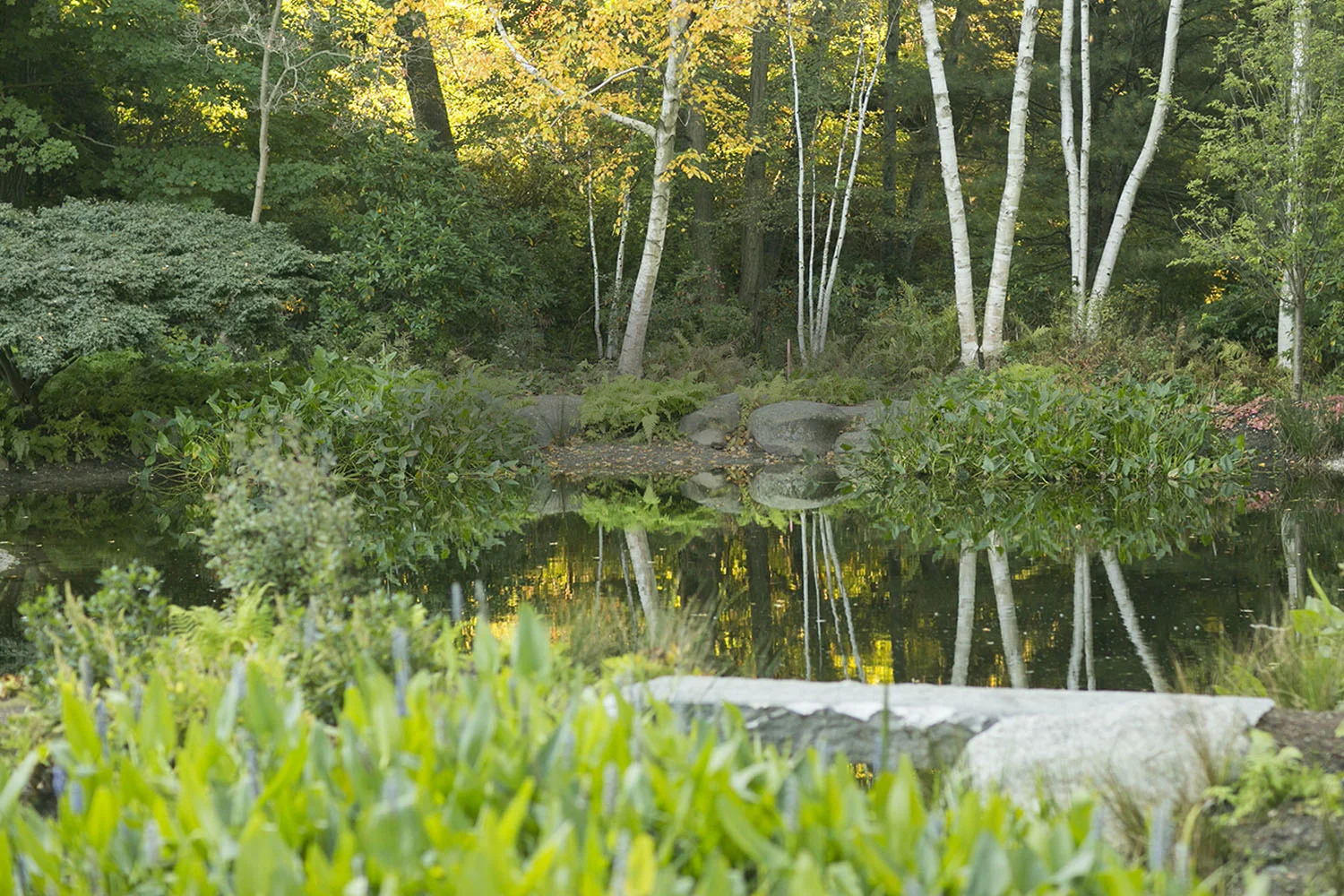 Paragon Landscape Construction