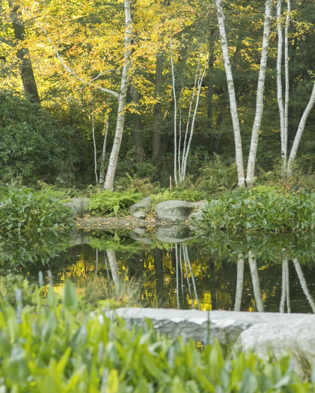 Residential Gallery — Paragon Landscape Construction