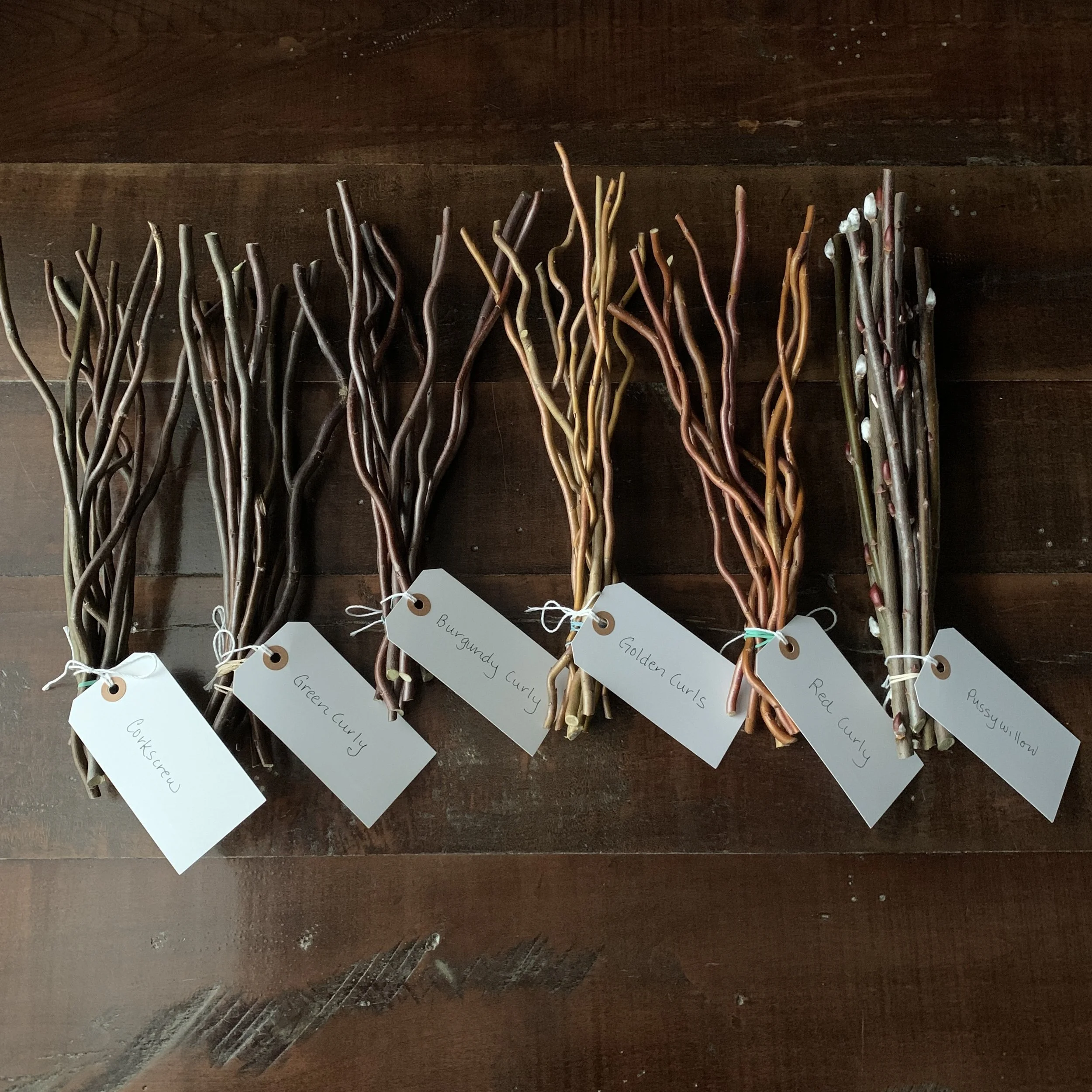 STILL WATERS FARM AND GARDENS