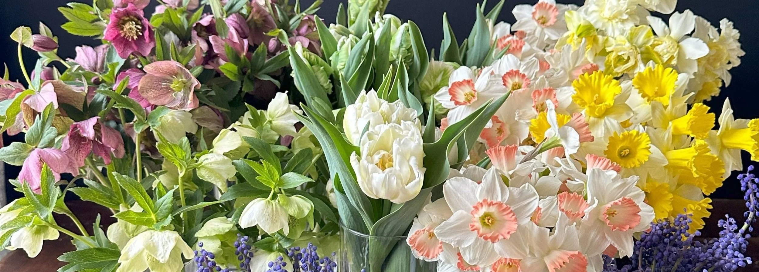 STILL WATERS FARM AND GARDENS