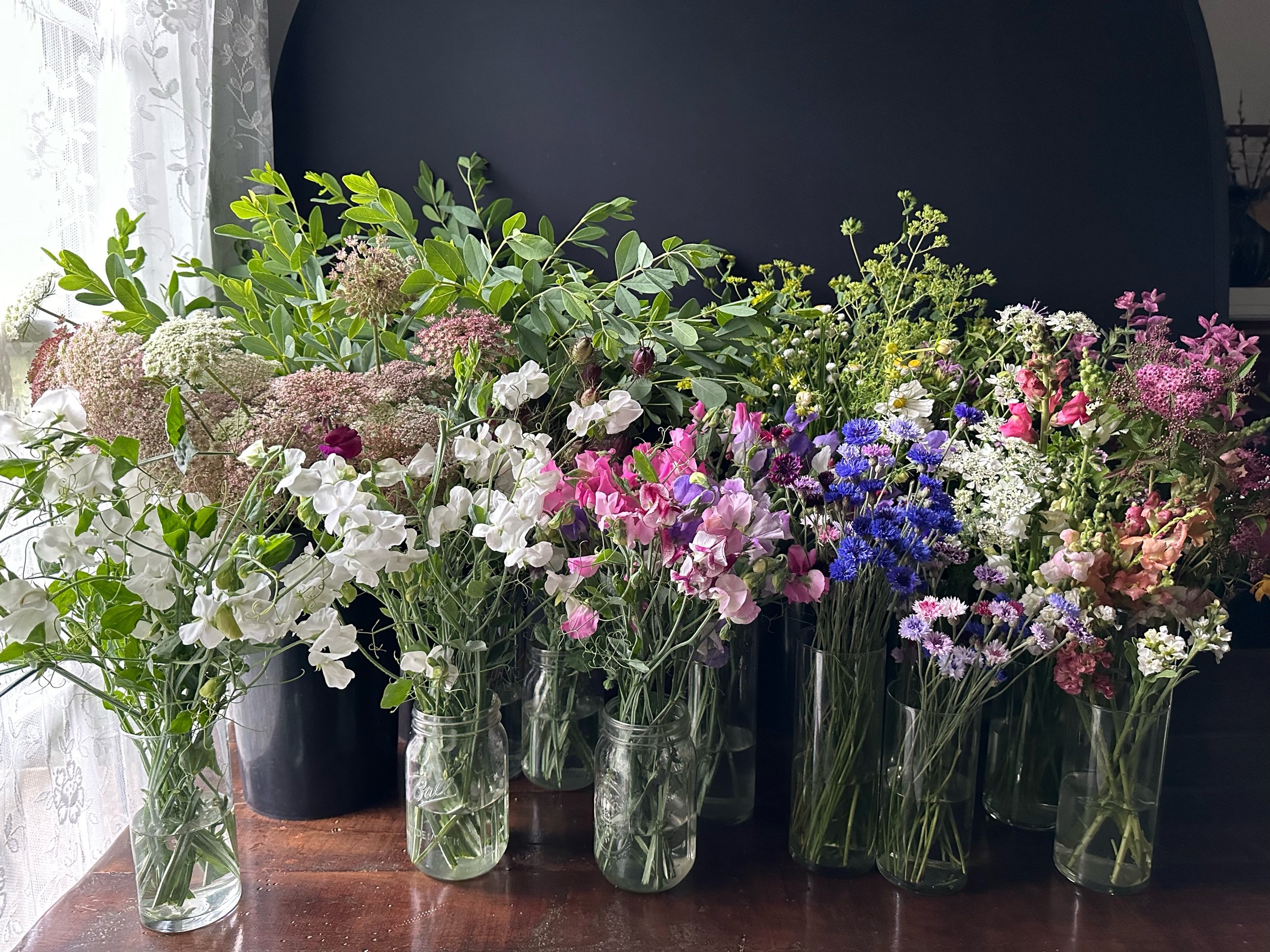 STILL WATERS FARM AND GARDENS