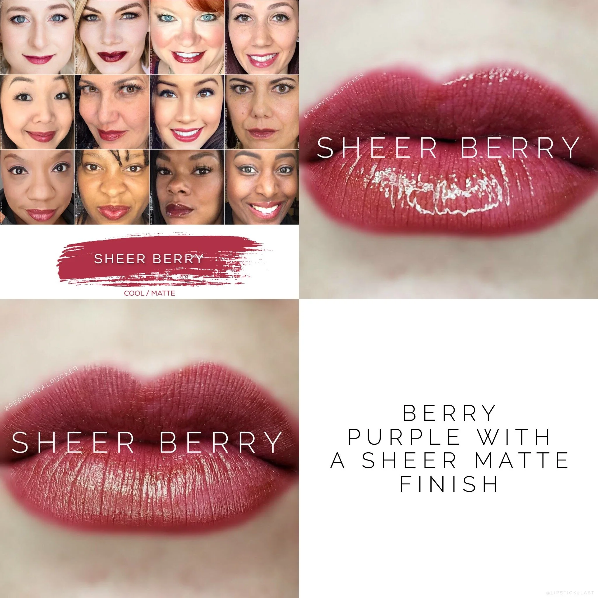Sheer Berry LipSense - Long-Lasting Lip Color | SeneGence | ashleycejka ...