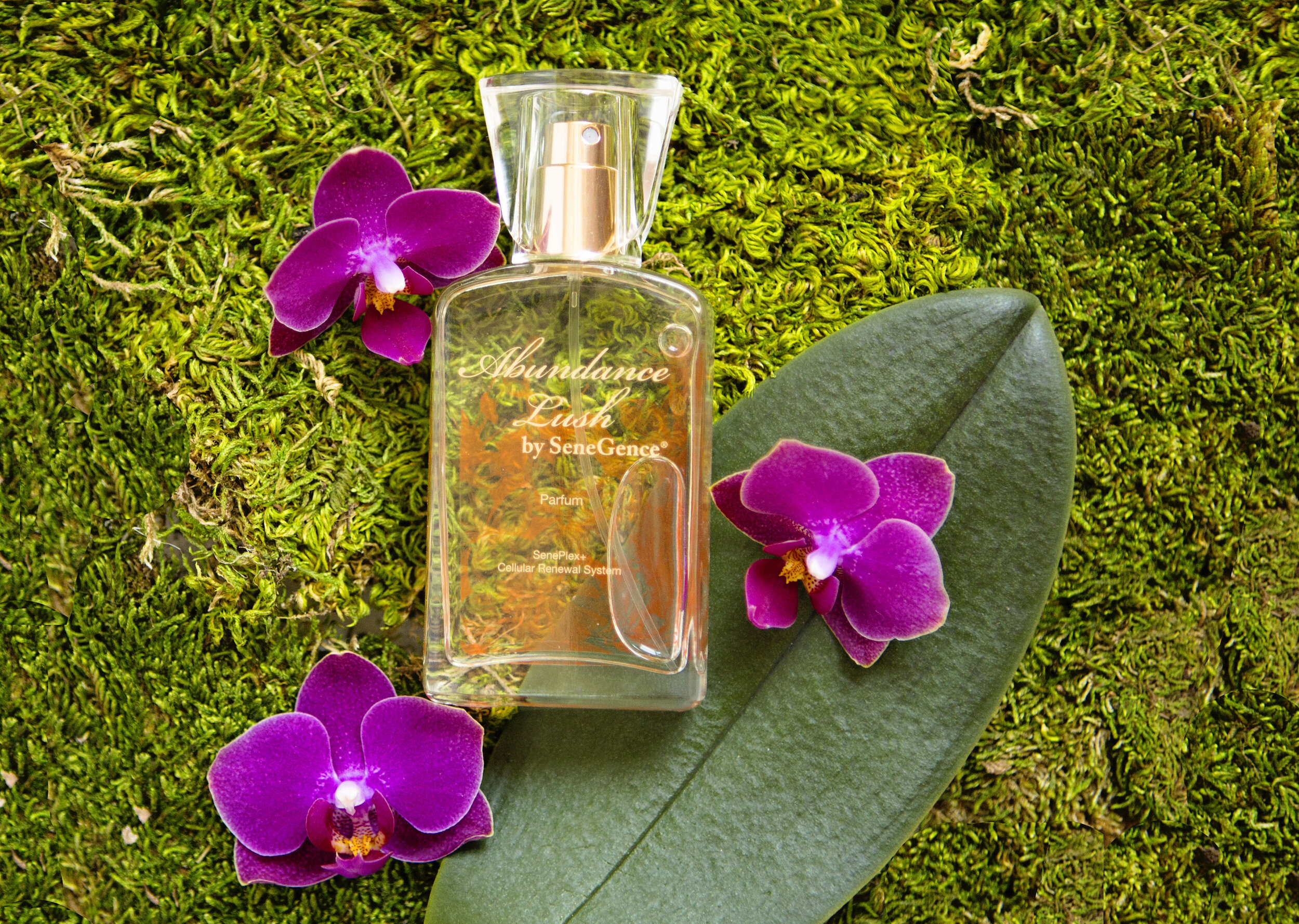 Introducing Lush Abundance Parfum | SeneGence | ashleycejka.com ...