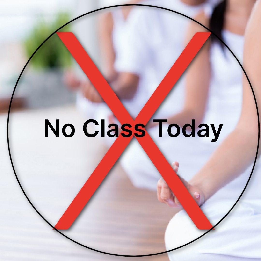 On Demand Yoga Class Library — Daytona Yoga With Krista
