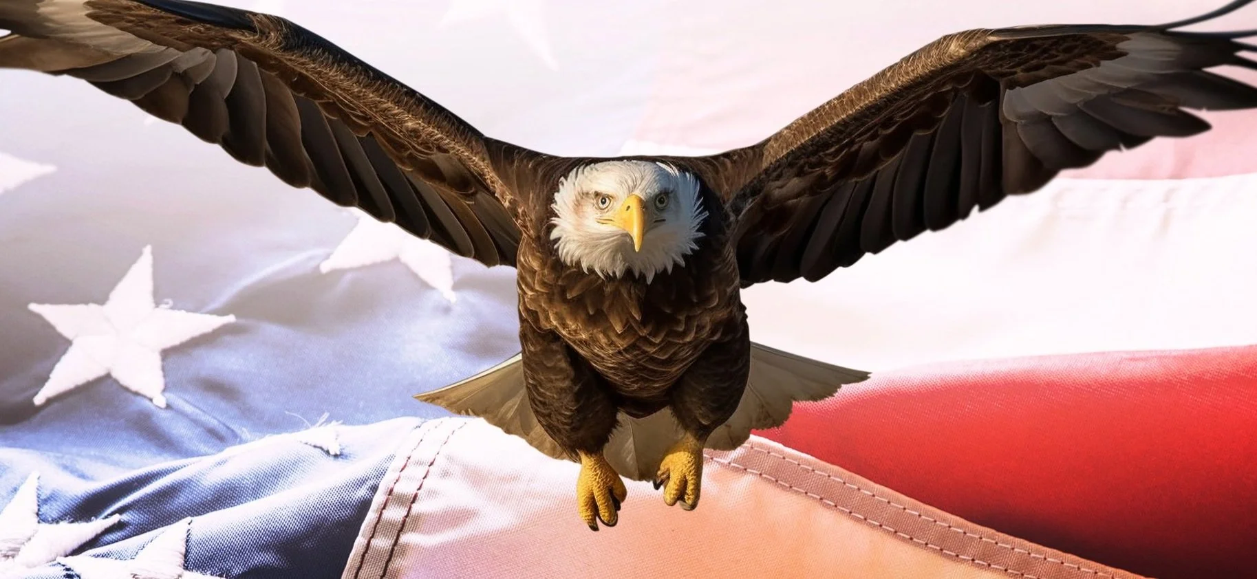 Berks County Democratic Committee