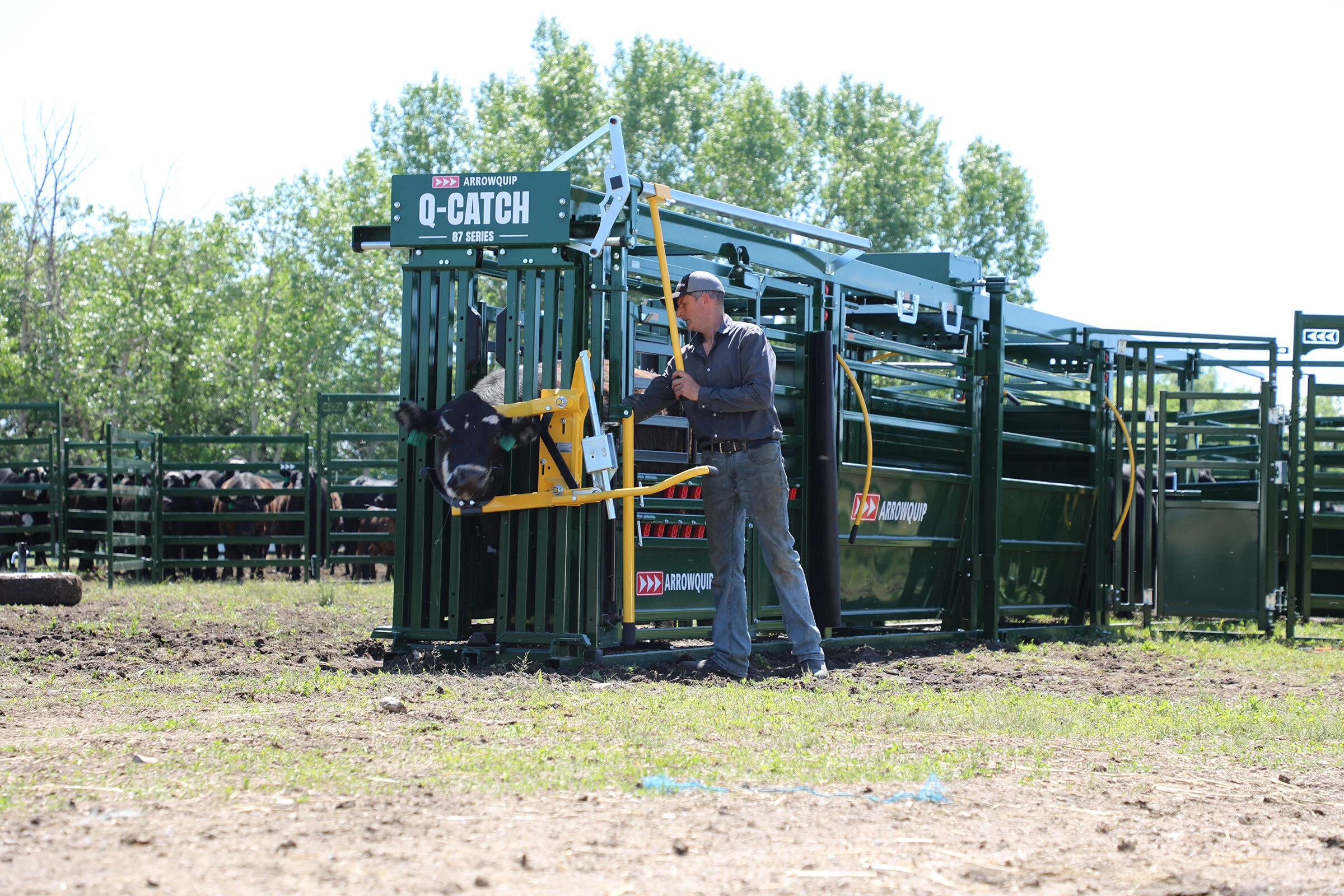 Arrowquip Q-Catch 87 Series Manual Crush | Wise Agriculture