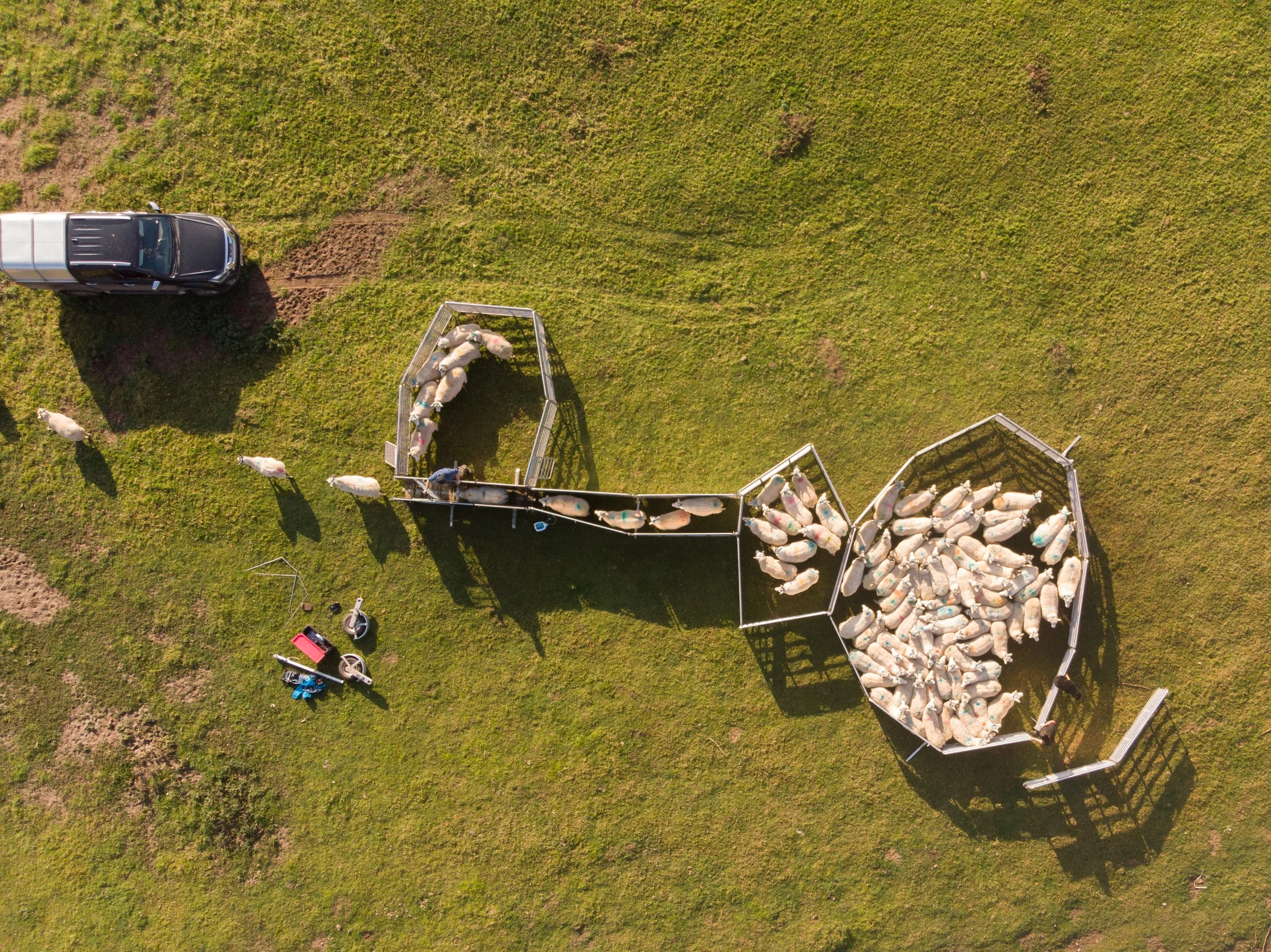Wise Agriculture Ltd | Arrowquip | AgriCow | Porta-Yards | Tru-Test| UK ...