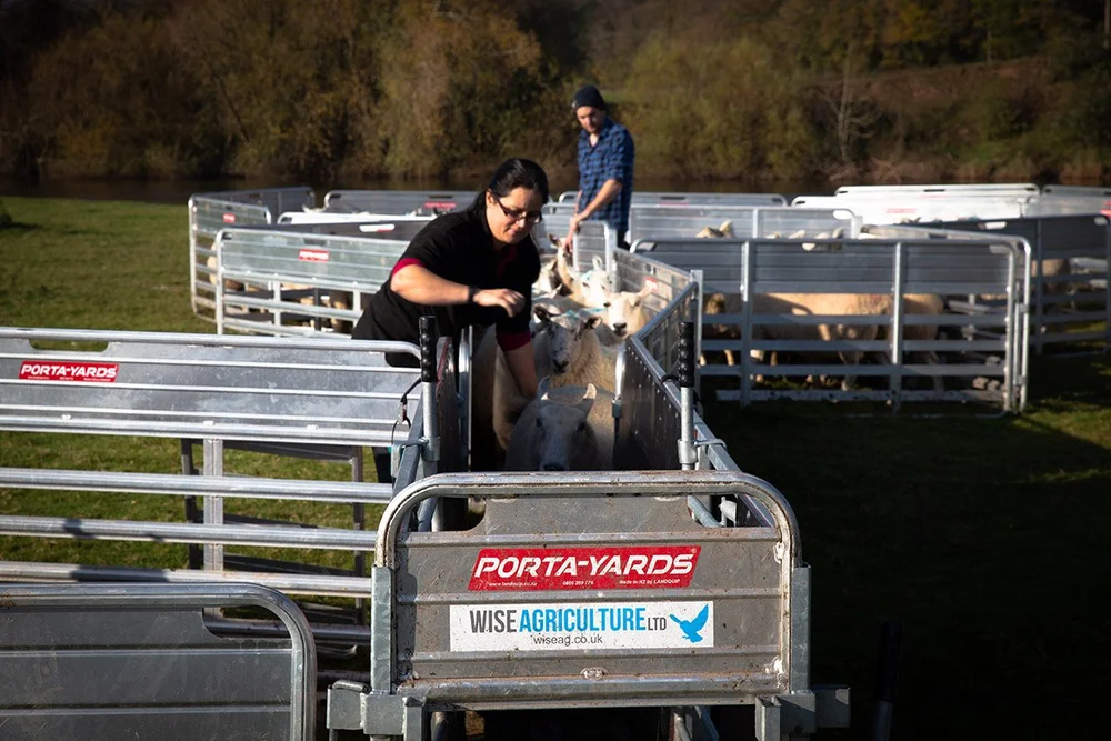 Porta-Yards Mobile Sheep Handling Systems | 4.5m Mega PortaYard