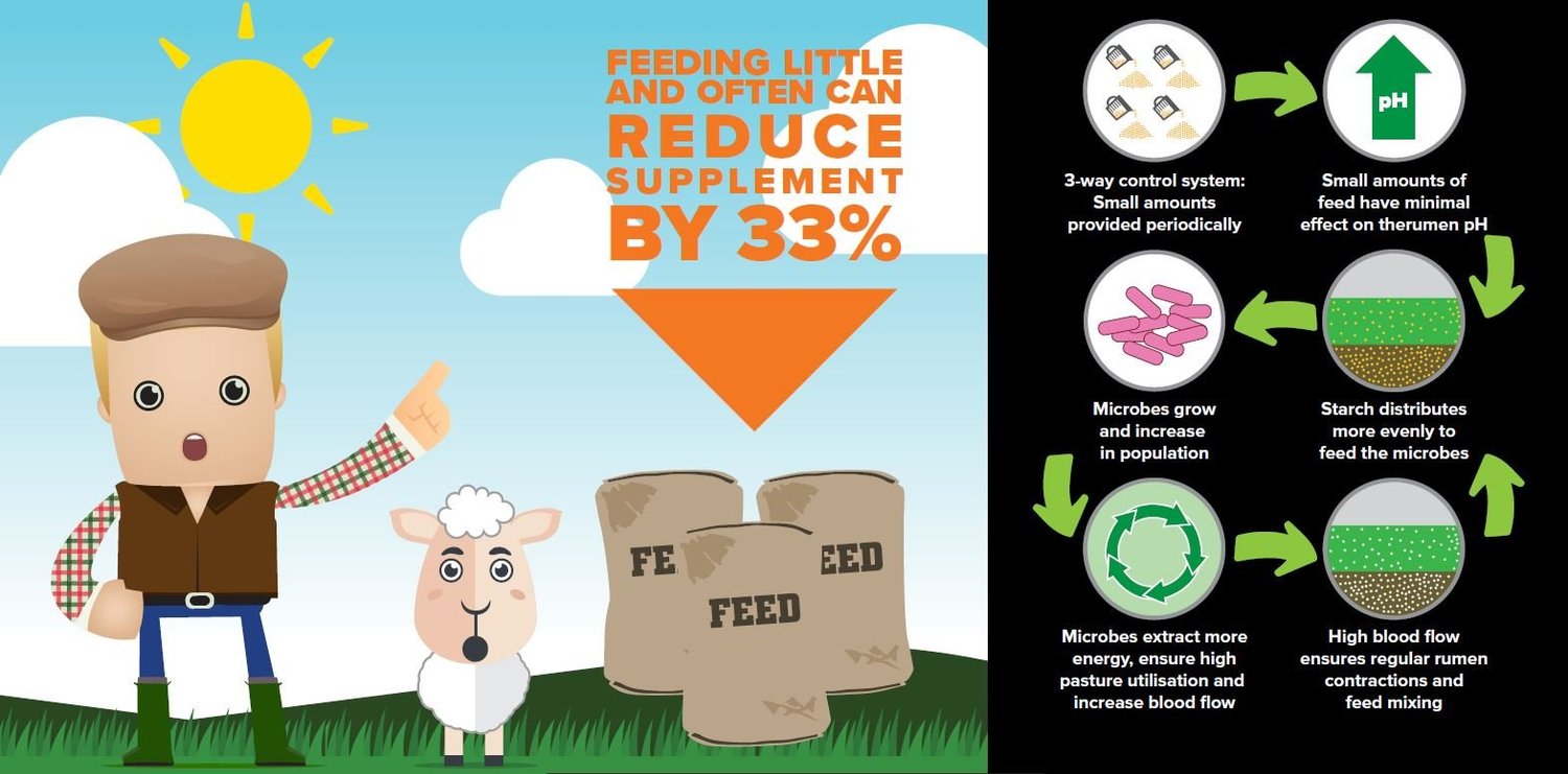 Advantage Feeders UK
