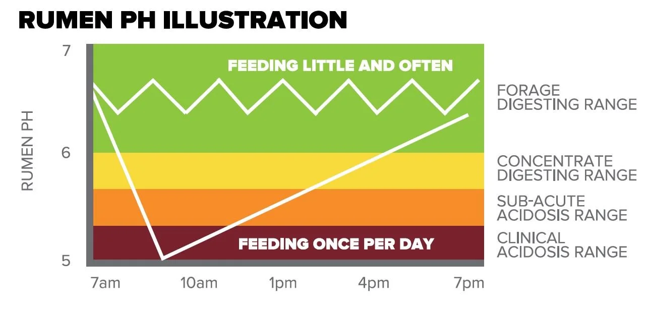 Advantage Feeders UK