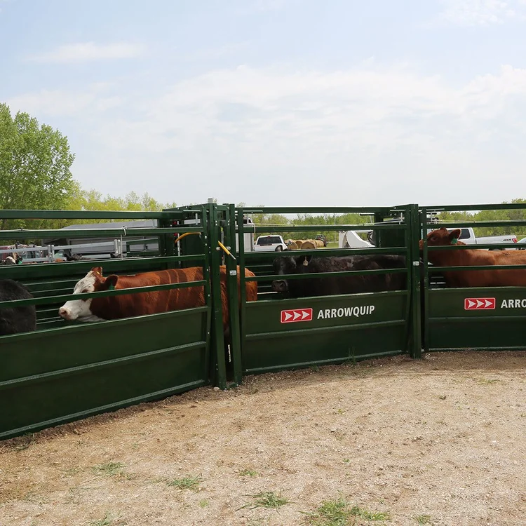11 lessons on stress-free cattle handling from Dr Temple Grandin — Wise ...