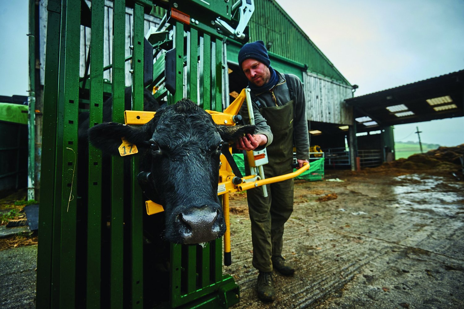 Arrowquip Arrowlock 75 Series Manual Squeeze Cattle Crush | Wise ...