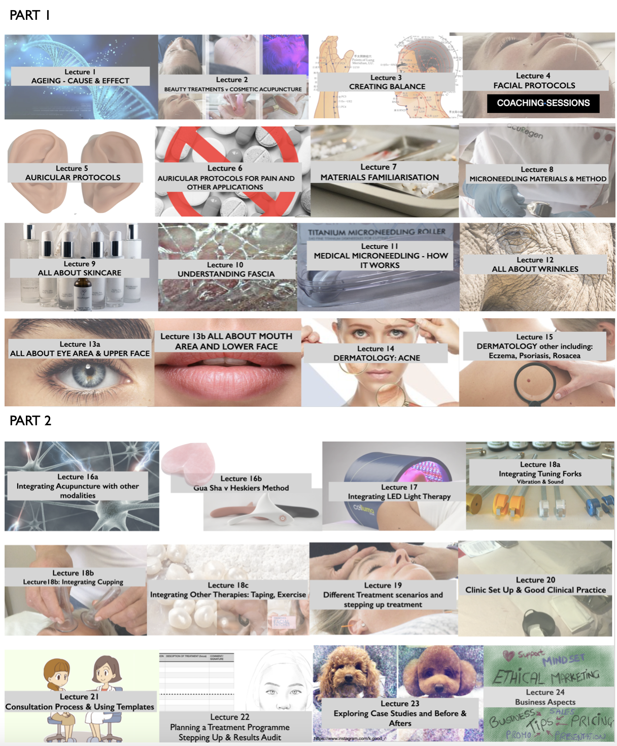 Acuregen Cosmetic Acupuncture - The Signature Advanced Course — Acuregen