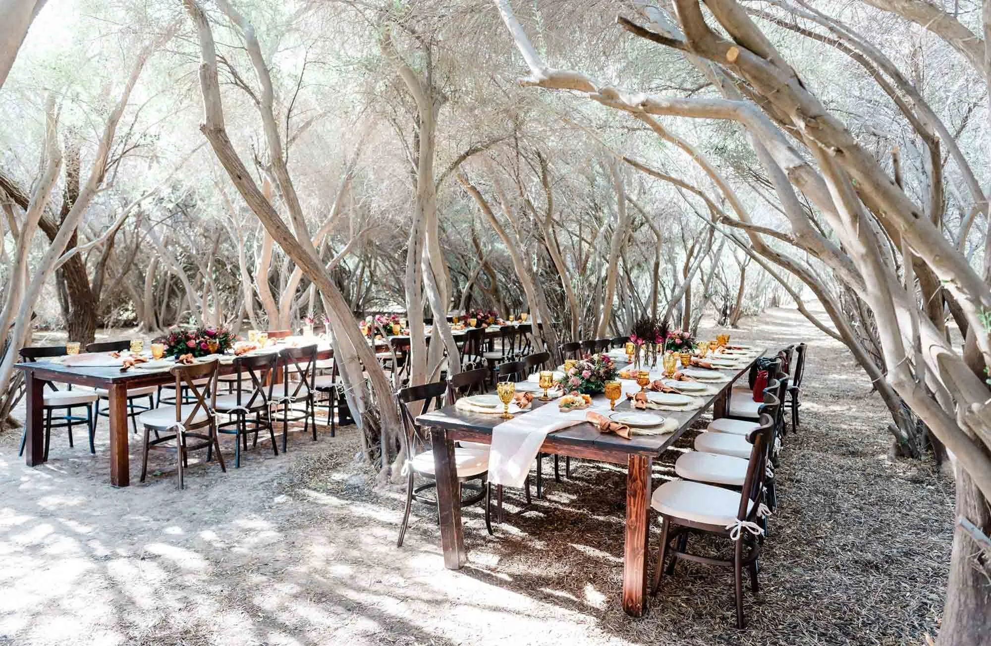 4 Unique Event Venues for Large Groups in Las Vegas — Cut and Taste