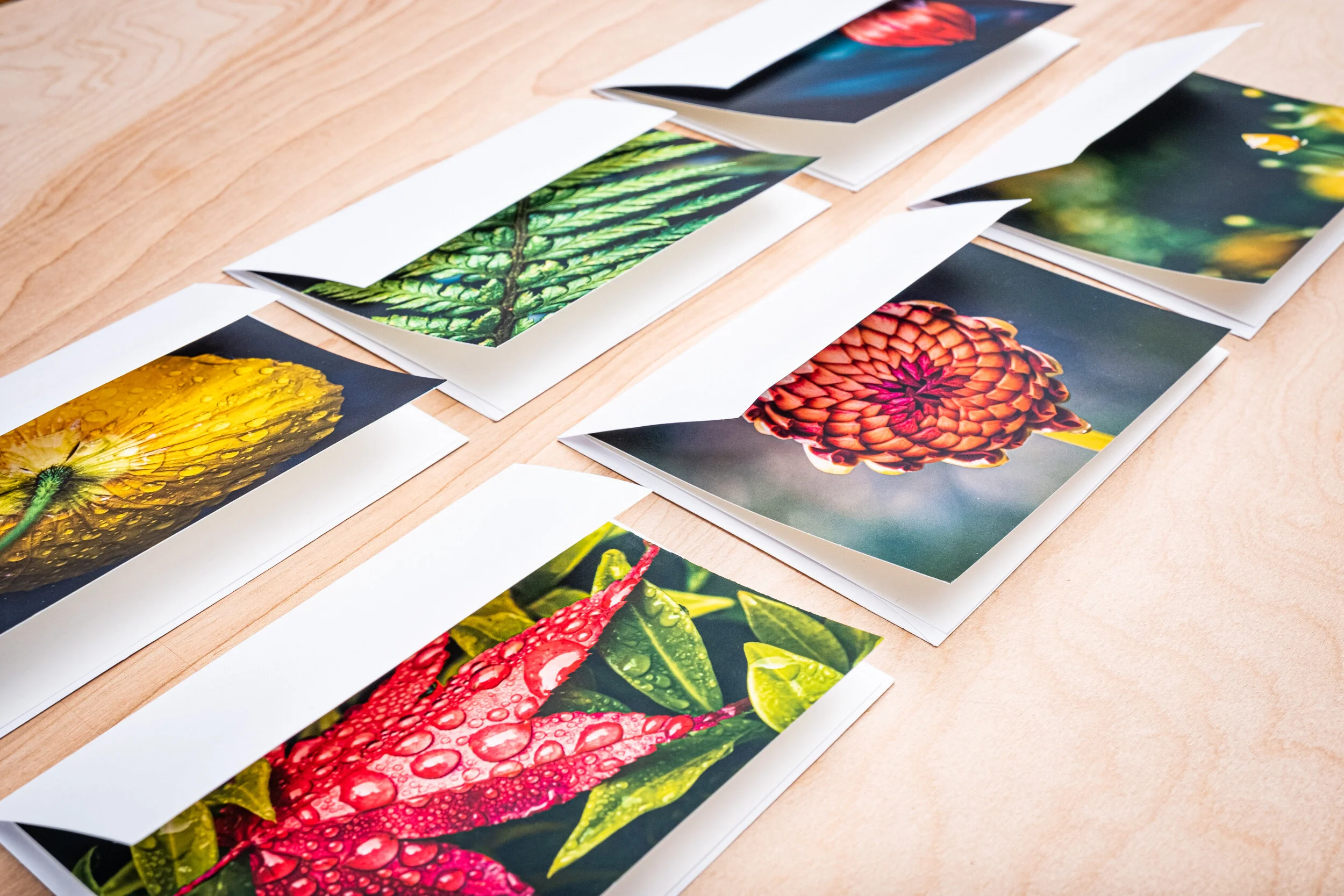 Photo Note Cards — Michael Sladek Photography