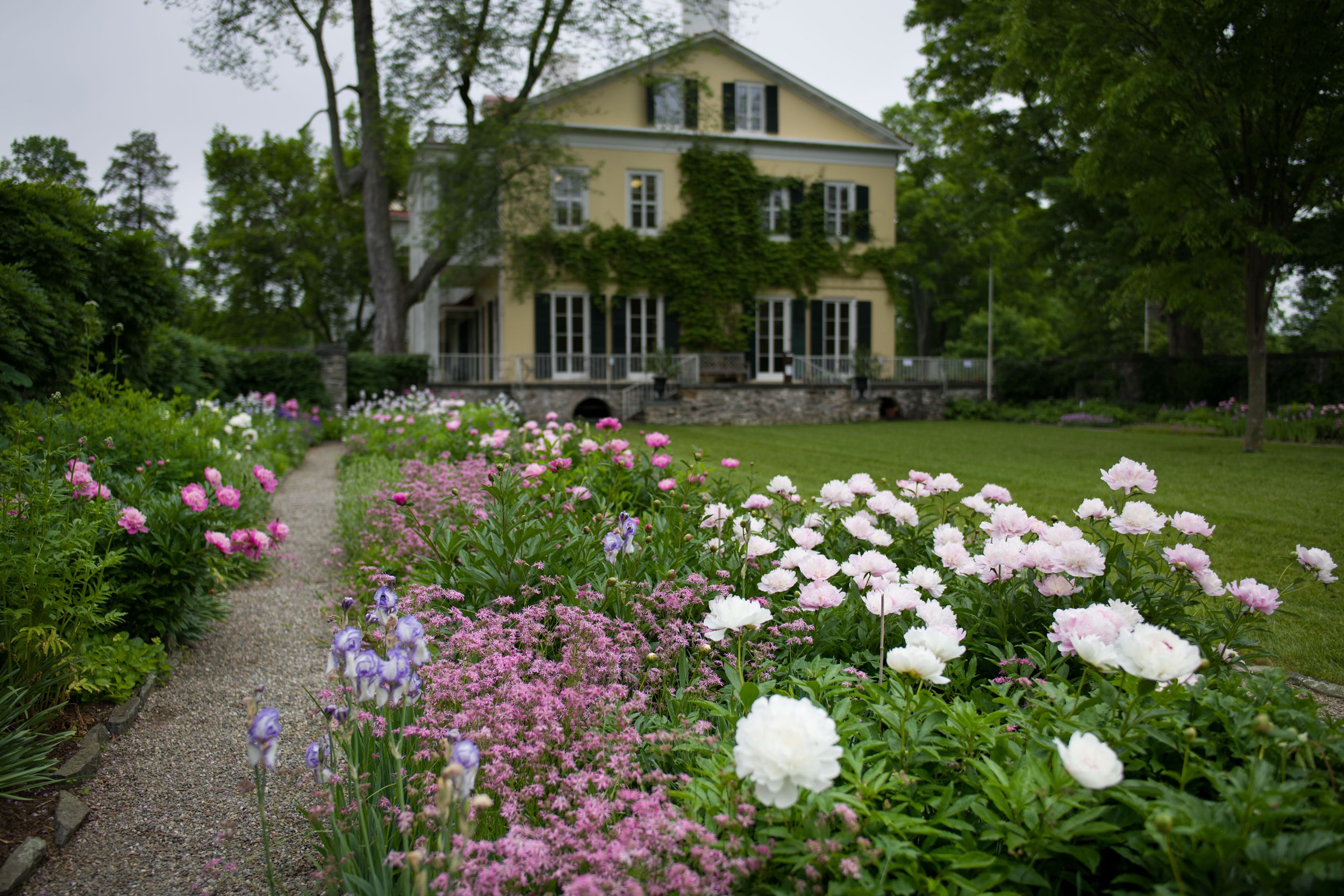 Planting Plans — Beatrix Farrand Garden Association
