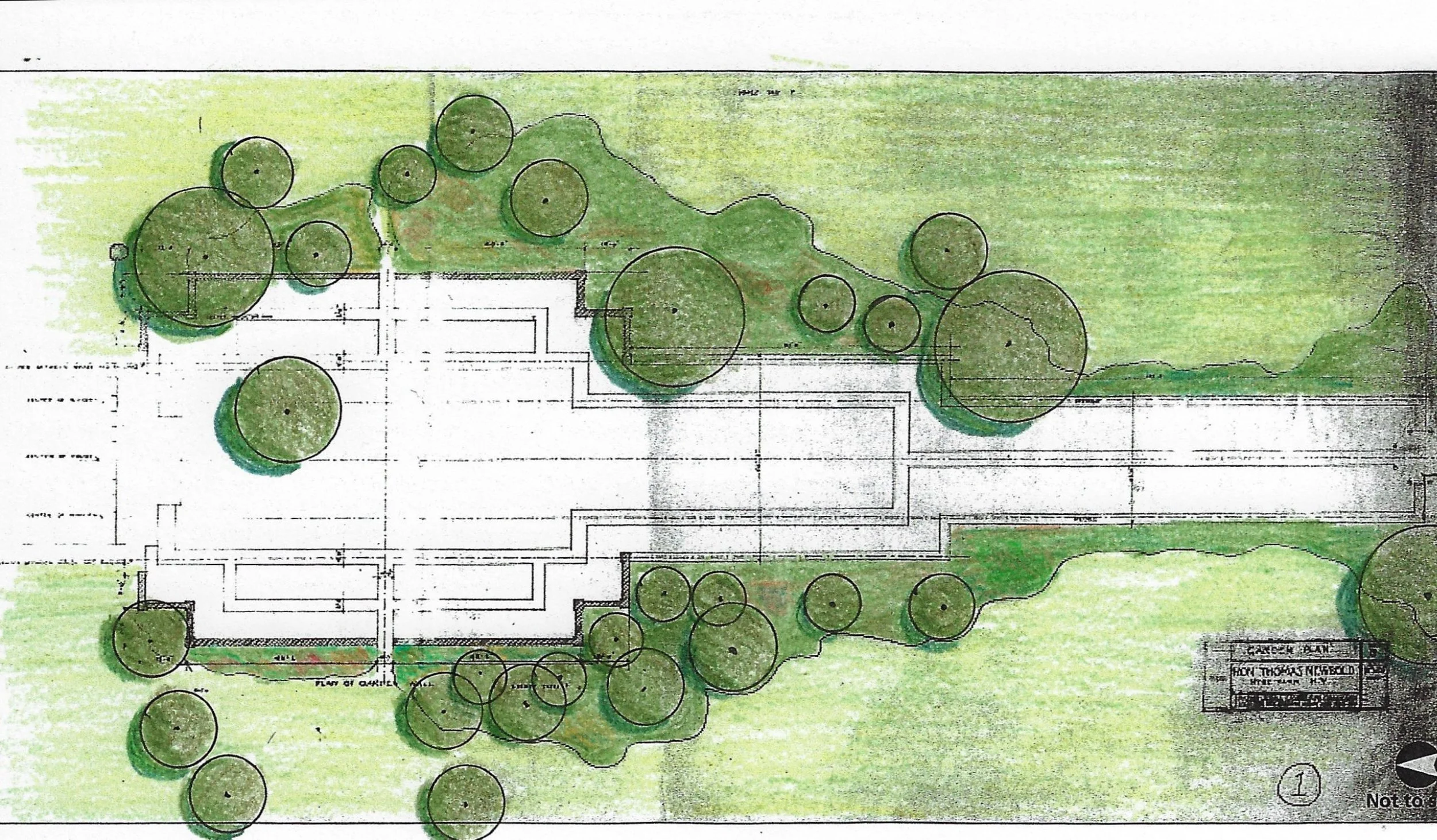 The Wild Garden at Bellefield — Beatrix Farrand Garden Association