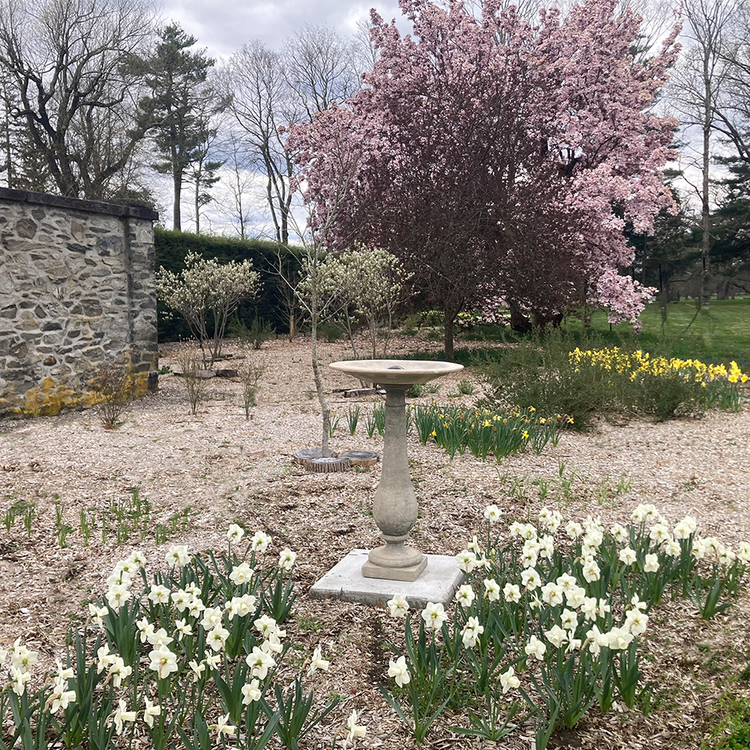The Soderholtz Birdbath — Beatrix Farrand Garden Association