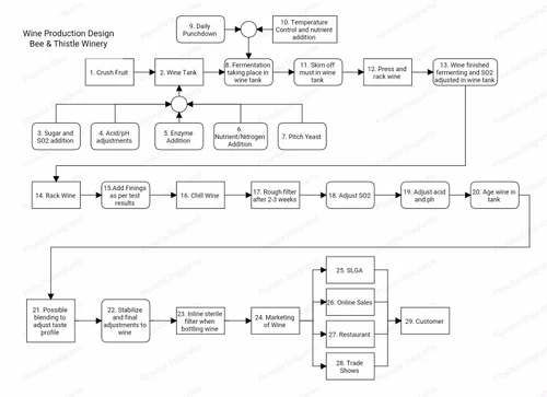 Wine Fermentation Diagram