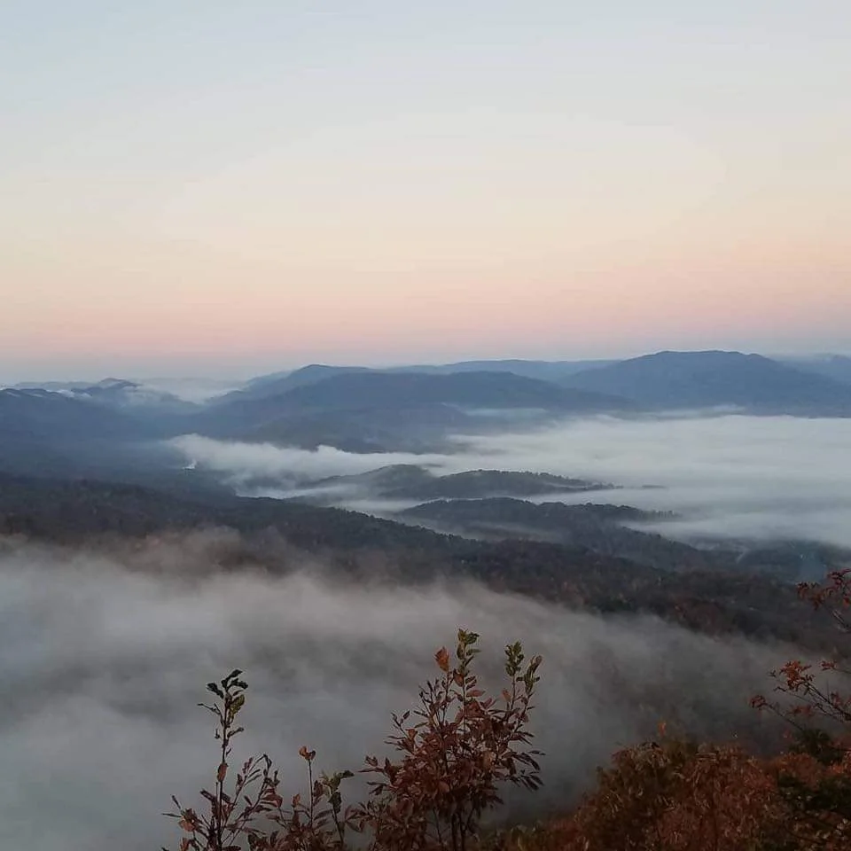 General — MedWAR Challenge