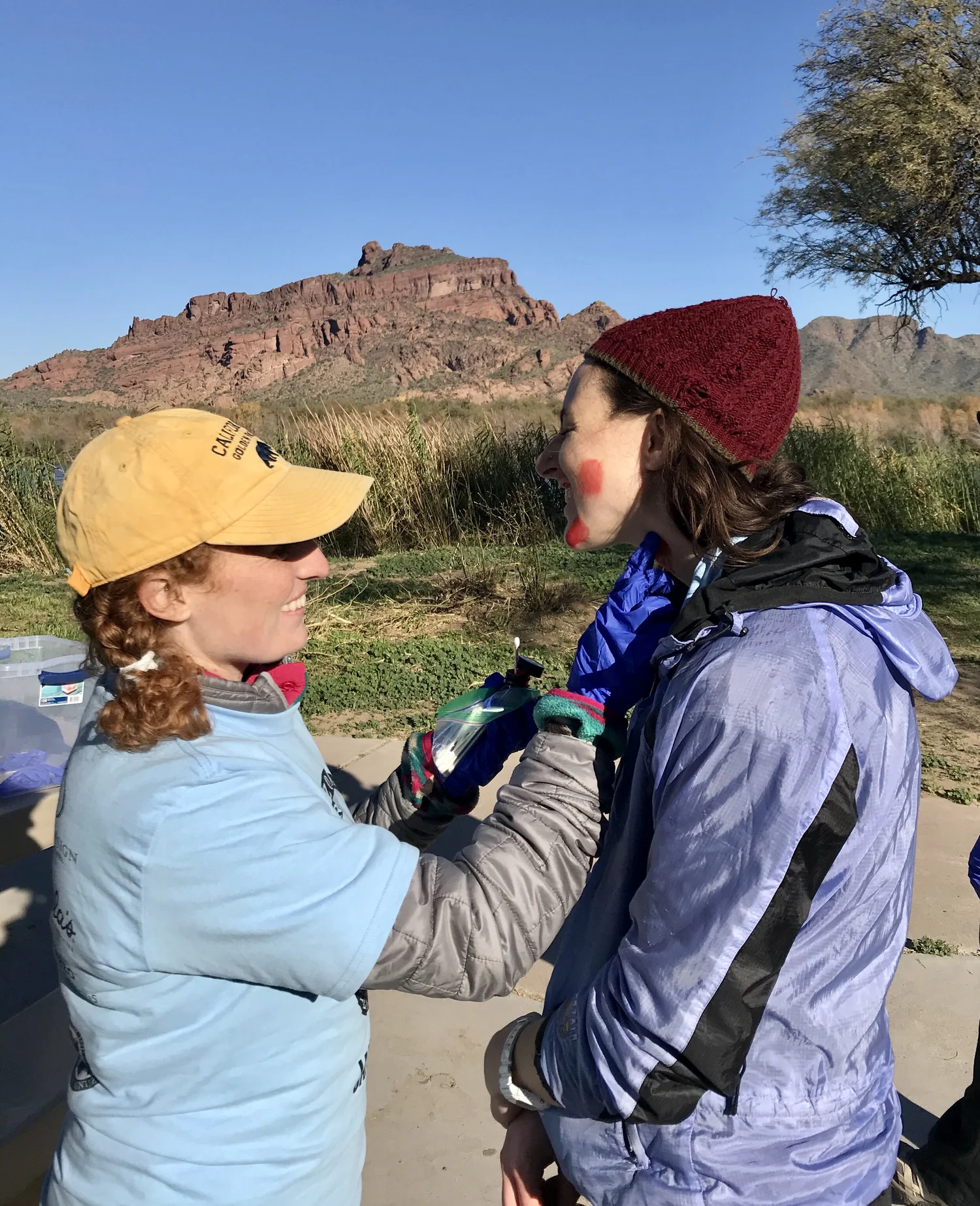 Gallery — MedWAR Challenge