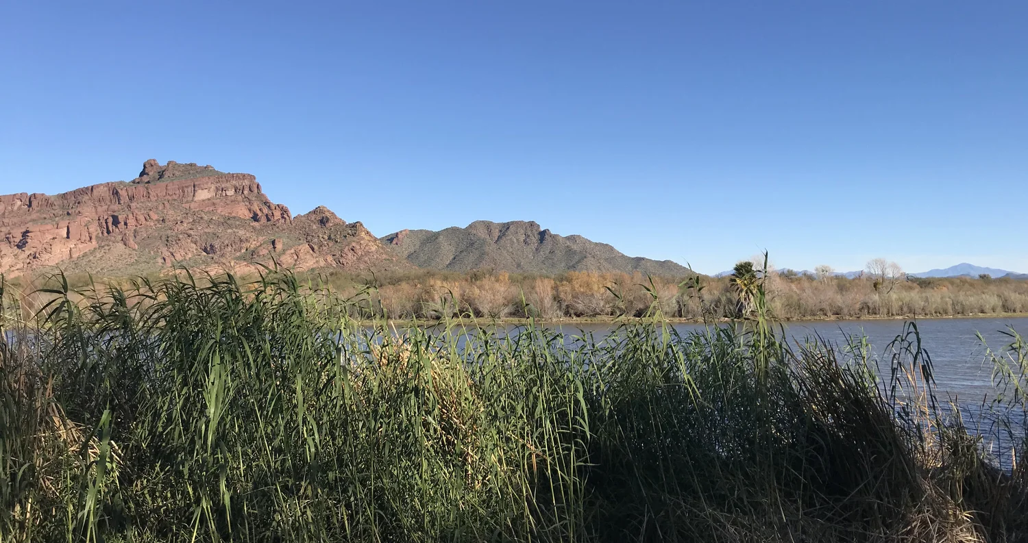 Photo Gallery — MedWAR Challenge