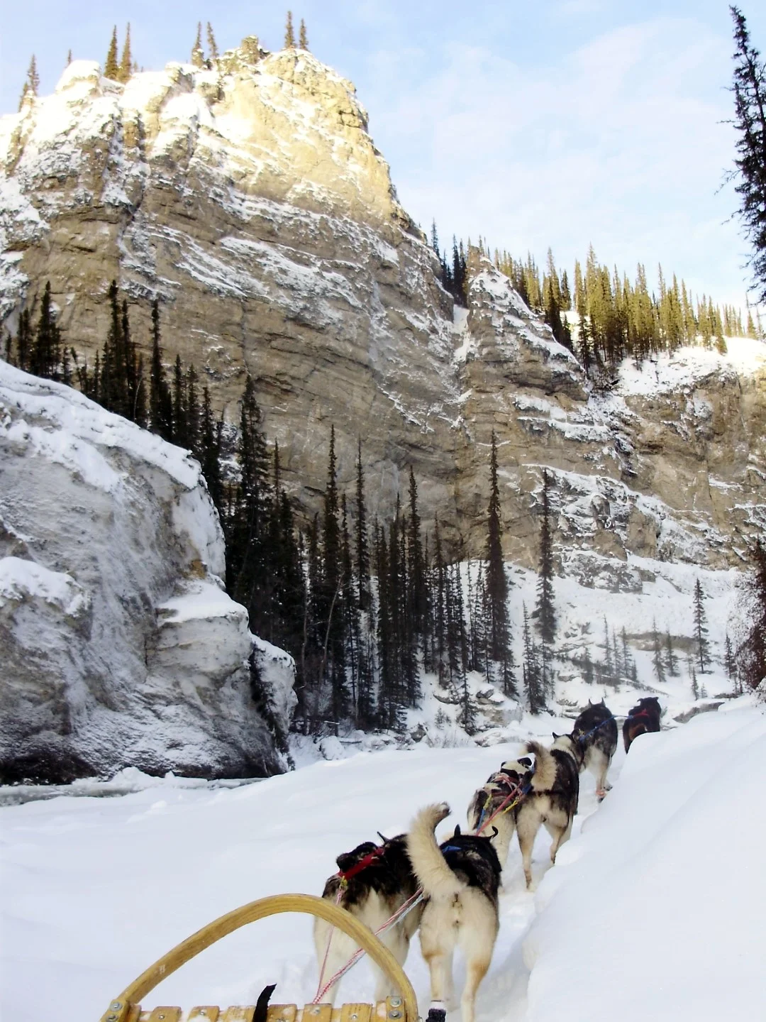Bush Alaska Expeditions Dog Sled Tours