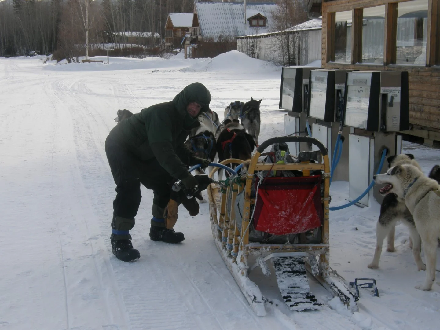 Bush Alaska Expeditions Dog Sled Tours