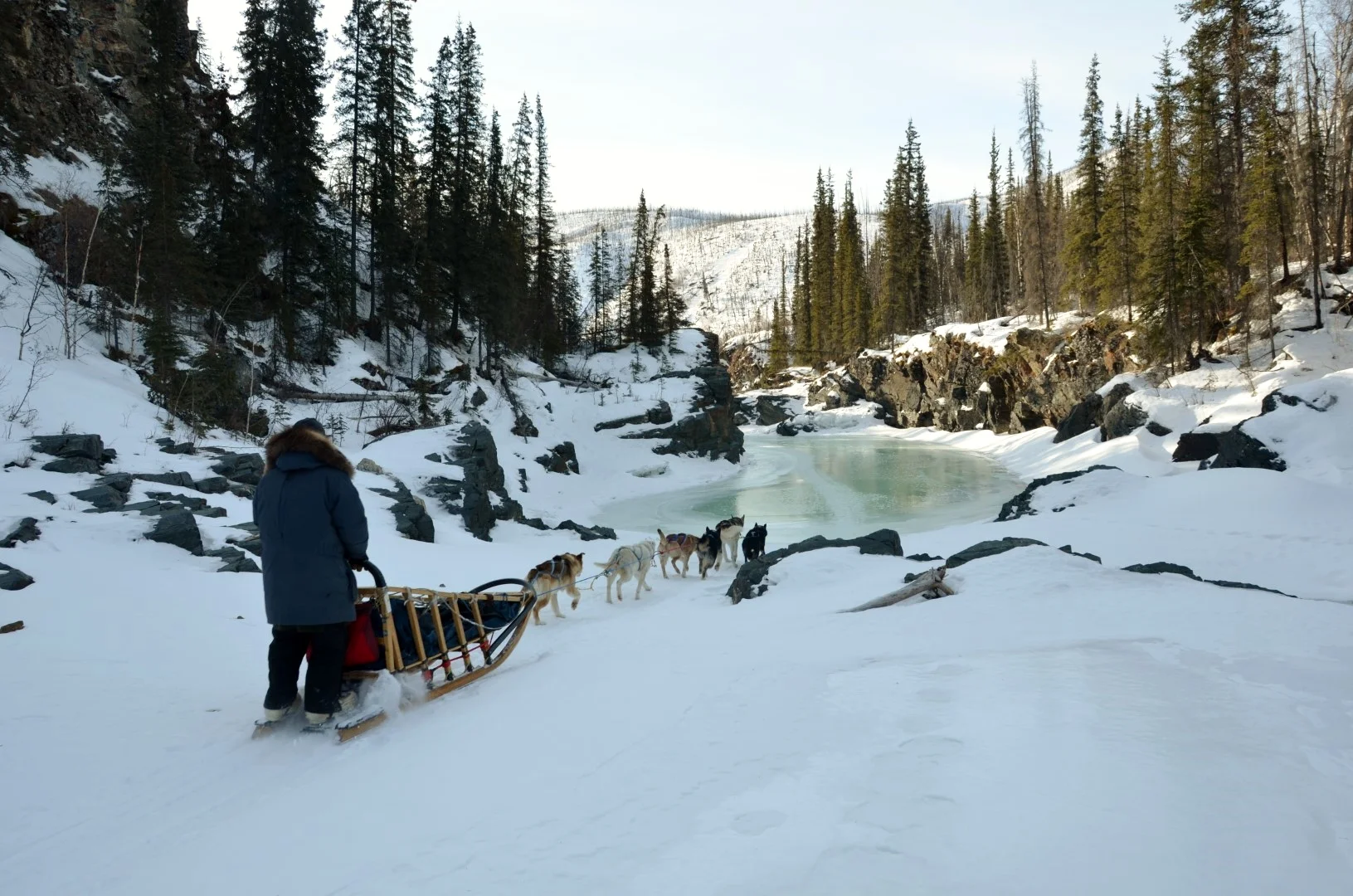 Bush Alaska Expeditions Dog Sled Tours