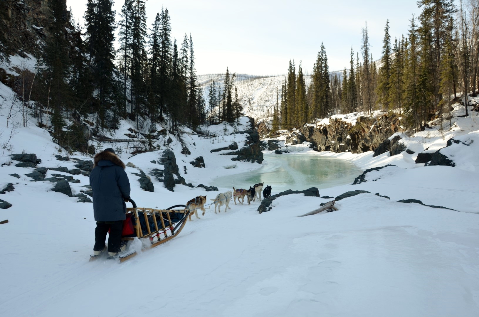 Bush Alaska Expeditions Dog Sled Tours