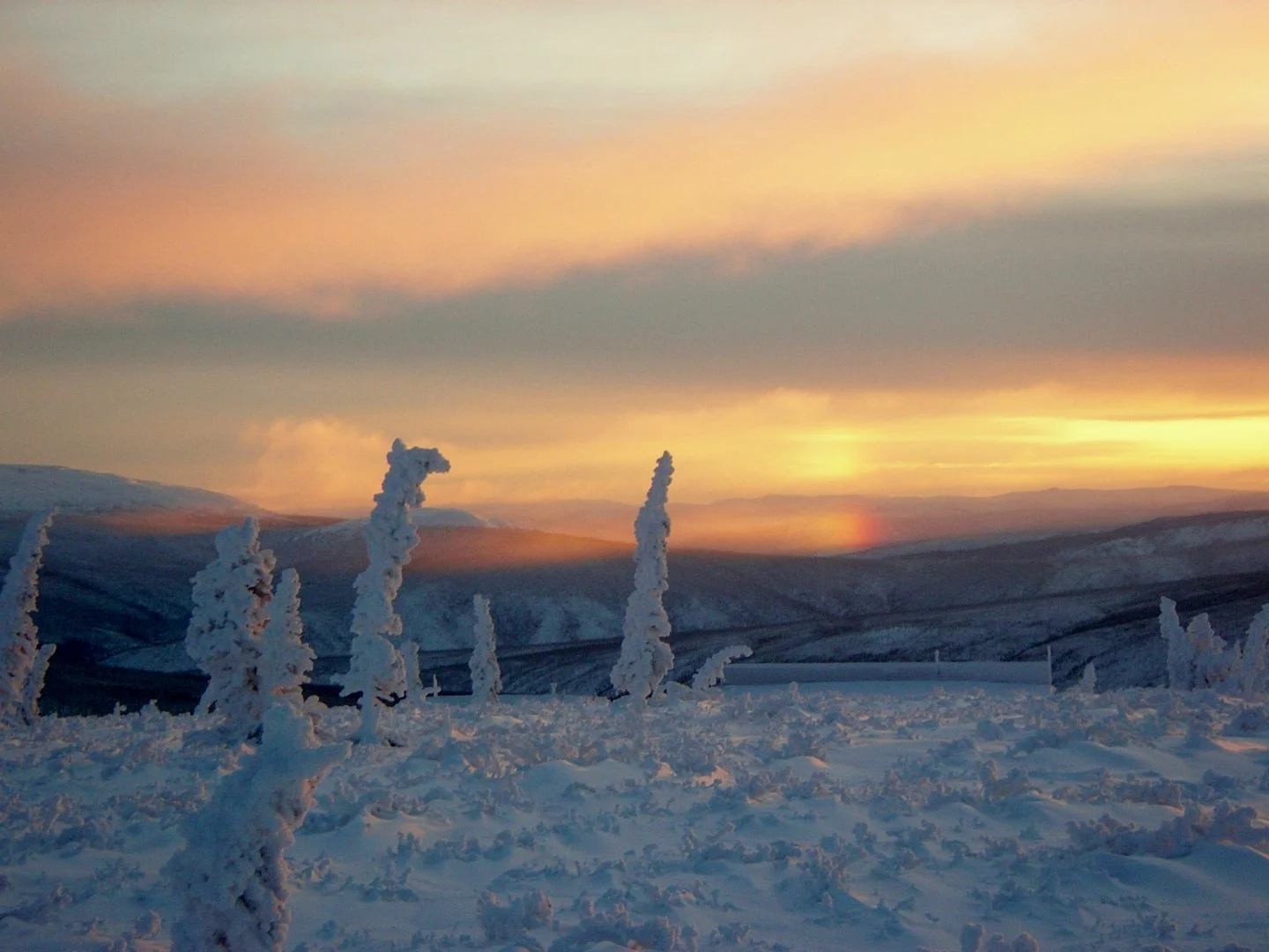 Bush Alaska Expeditions Dog Sled Tours