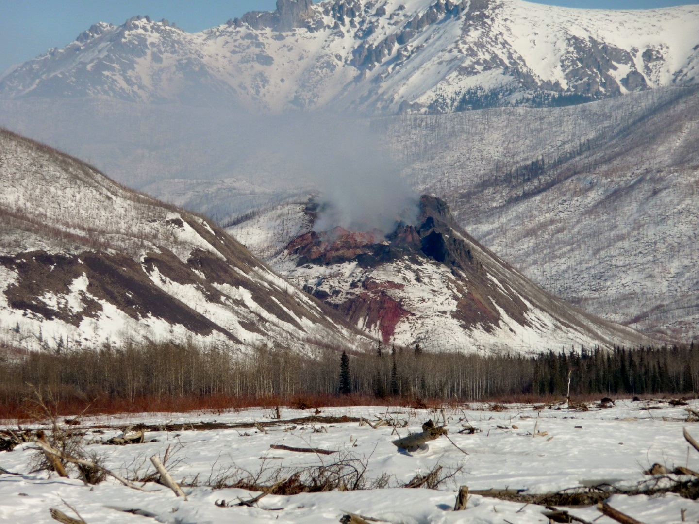 Bush Alaska Expeditions Dog Sled Tours