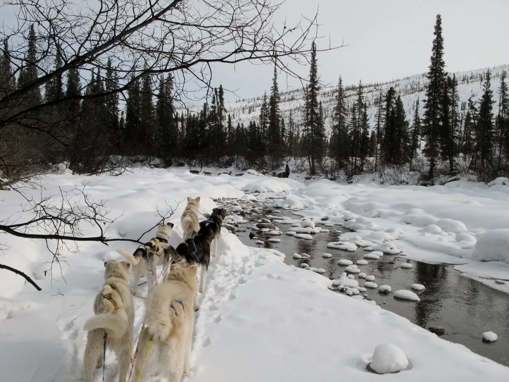 Yukon River & Alaska wilderness tour information — Bush Alaska ...