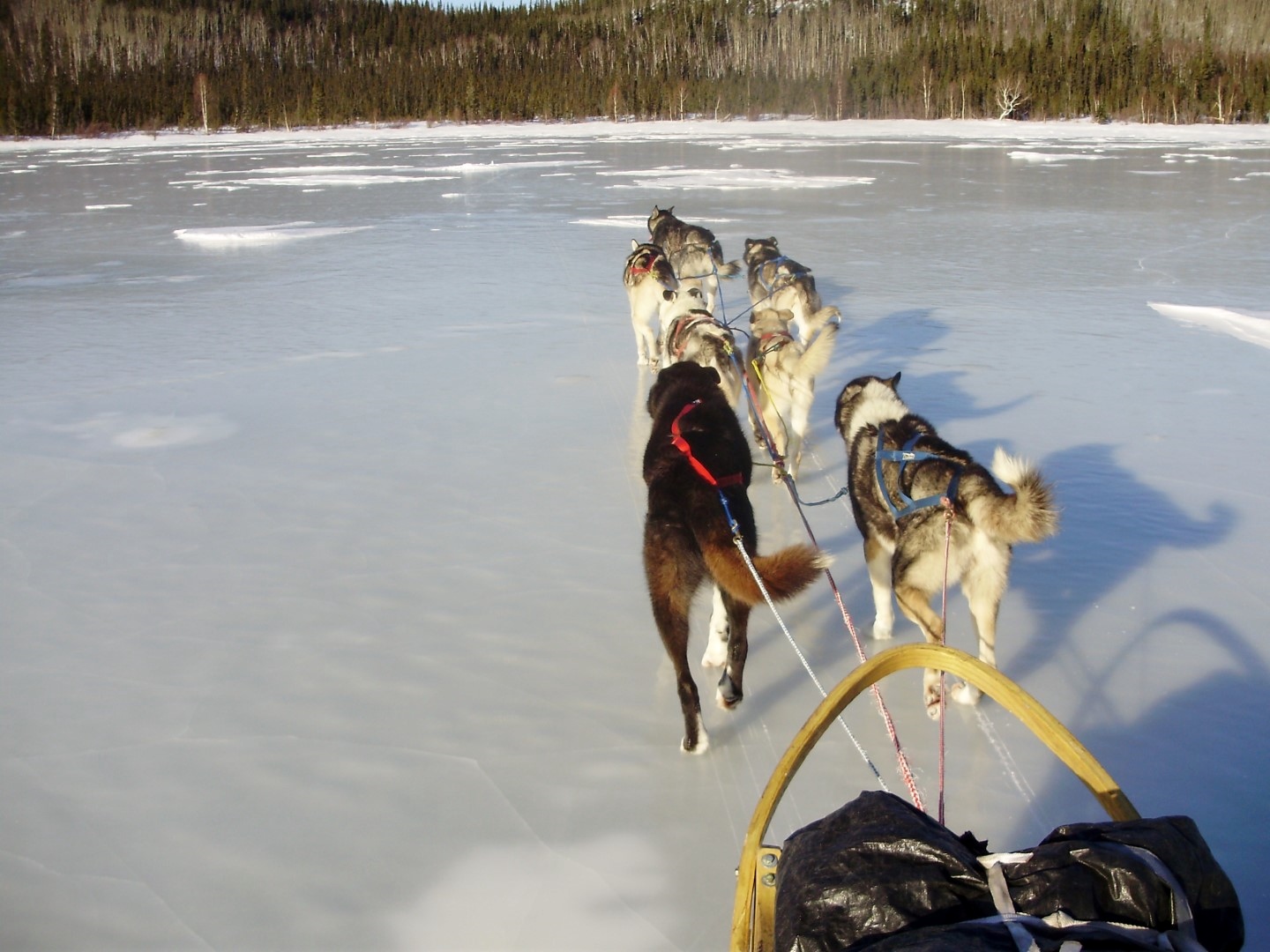 Yukon River & Alaska wilderness tour information — Bush Alaska ...