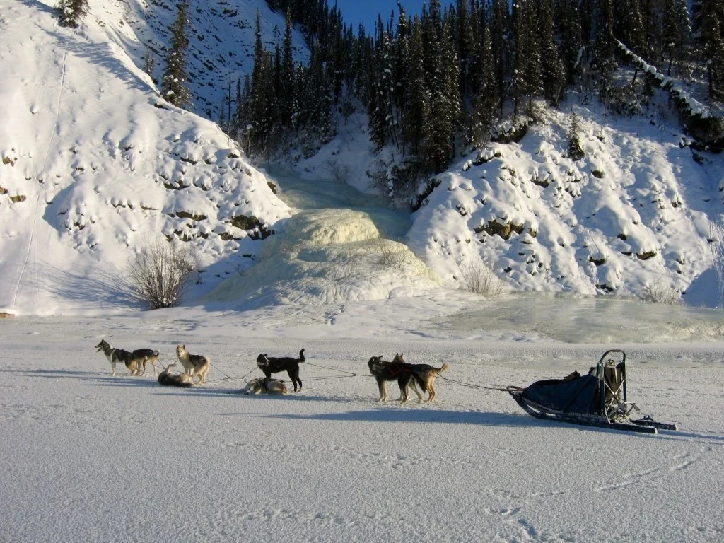 Yukon River & Alaska wilderness tour information — Bush Alaska ...