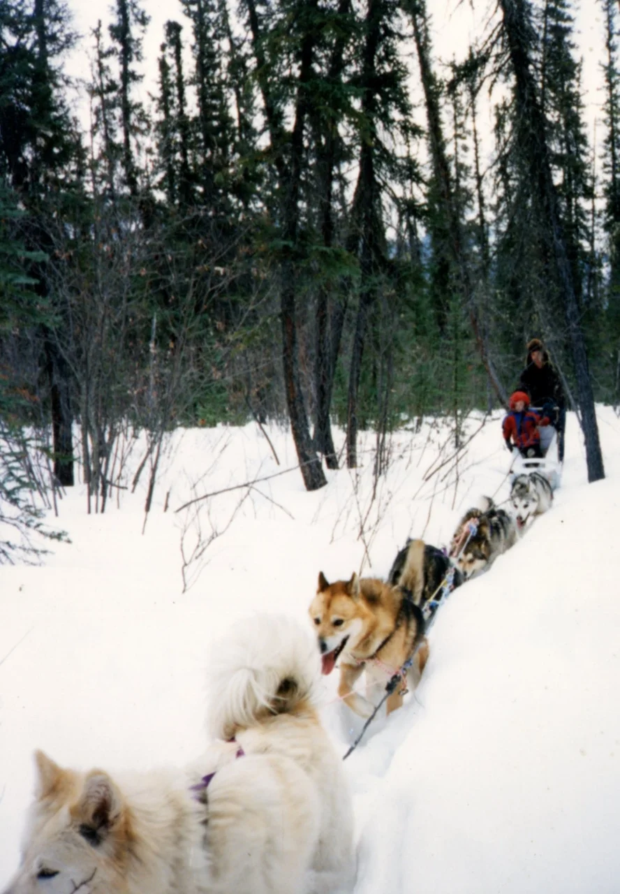 Hosts & Guides of Alaska, Yukon River Wilderness Adventures — Bush ...
