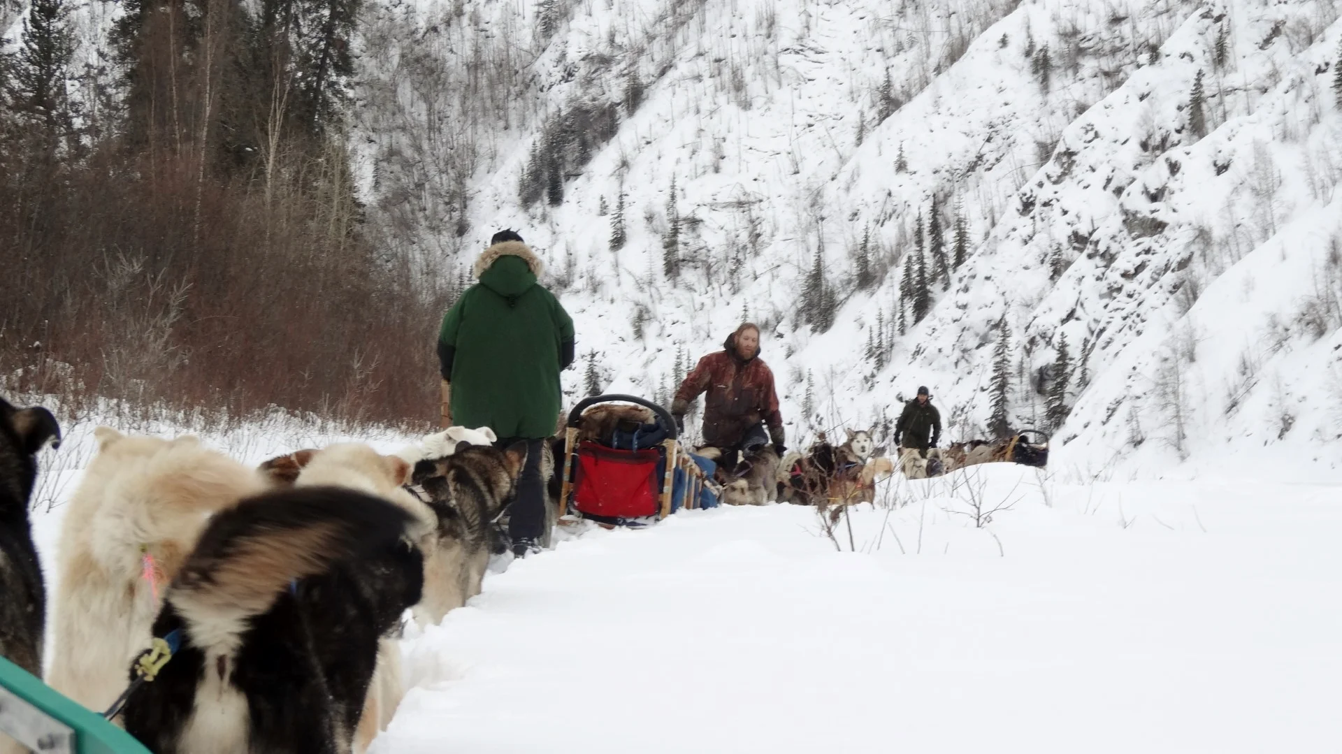 Questions about mushing into the Alaska, Yukon River Wilderness — Bush ...