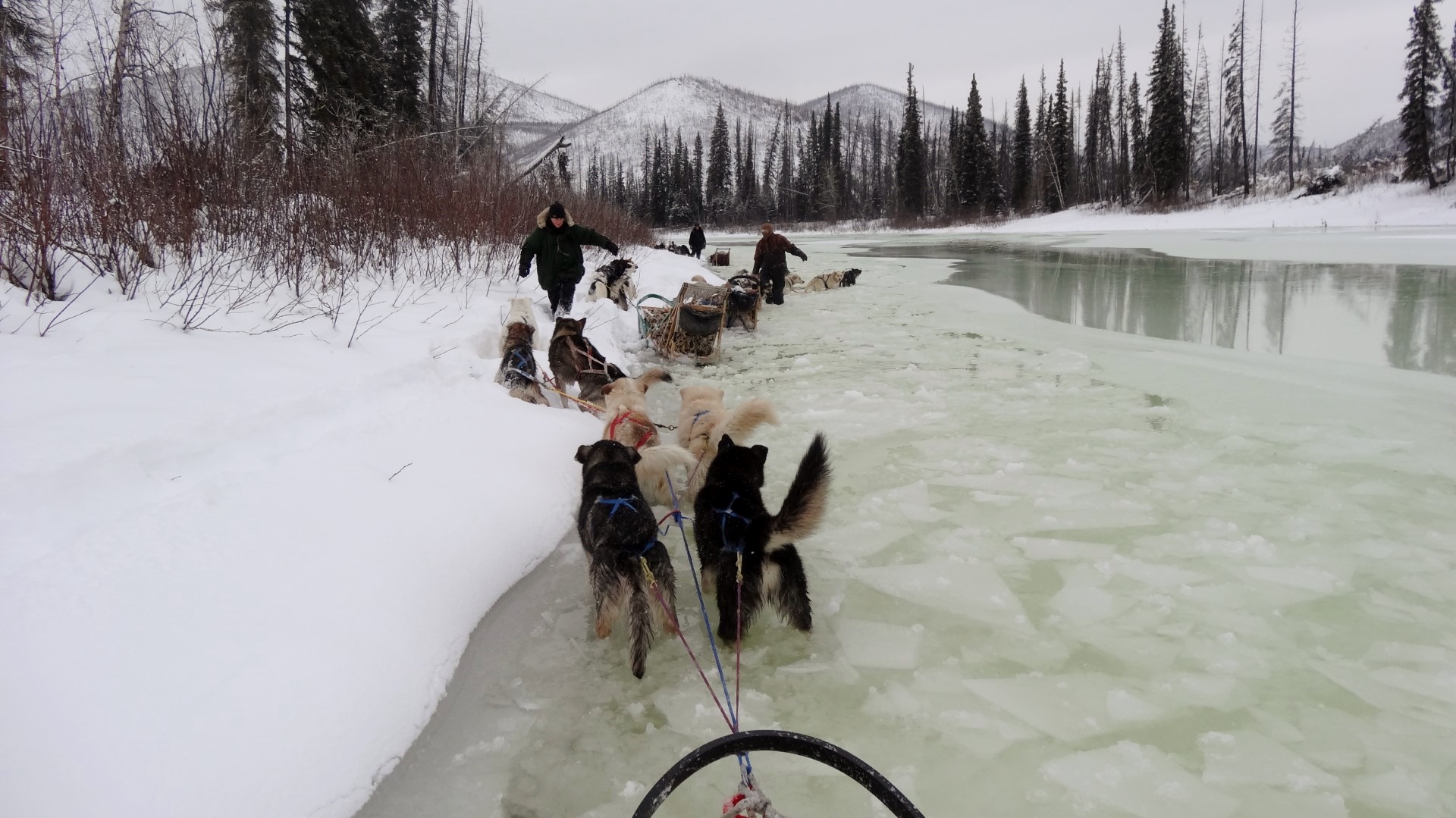 Photo Gallery of Alaska, Yukon River Wilderness Adventures — Bush ...