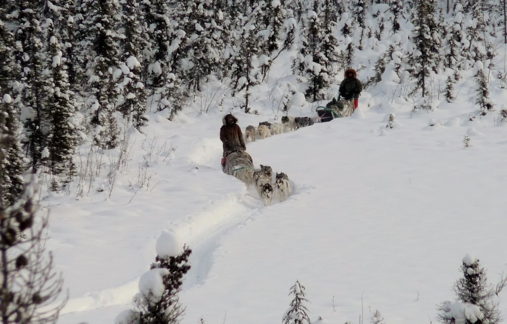 Yukon River & Alaska wilderness tour information — Bush Alaska ...
