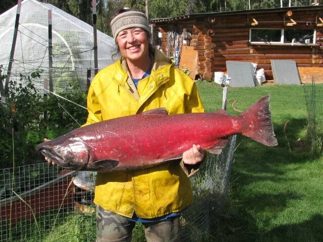 Bush Alaska Expeditions Dog Sled Tours